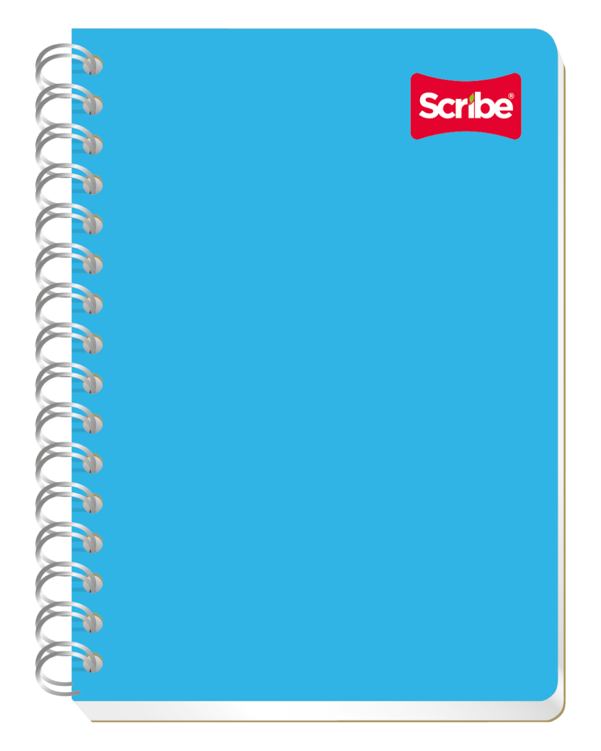 Cómo utilizar un cuaderno francés para planificar tus clases